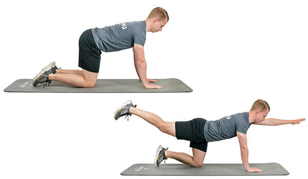 Warming up oefeningen voor krachttraining | Matchu Sports