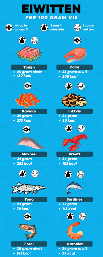 Eiwitrijke voeding: alles wat je erover moet weten! - Matchu Sports