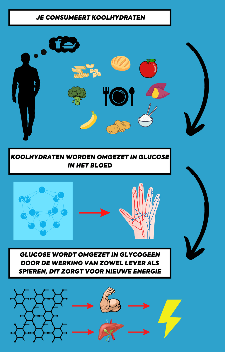 Alles wat je moet weten over glycogeen - Matchu Sports